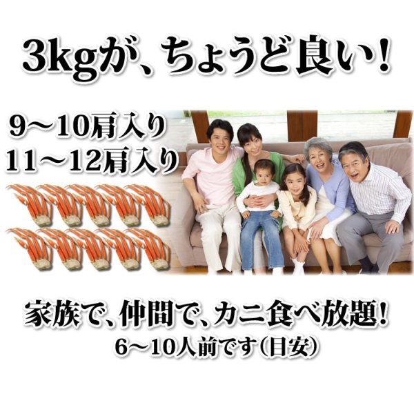 特大 ずわいがに 脚 3kg (3L・4Lサイズ) - カニ缶詰のOH!GLE(オーグル) 本店